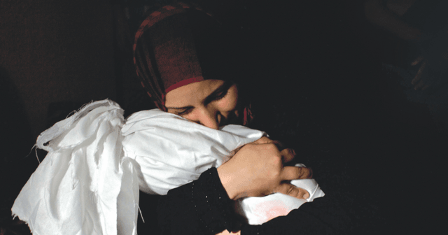 Gaza by Norman Finkelstein - Paper - University of California Press