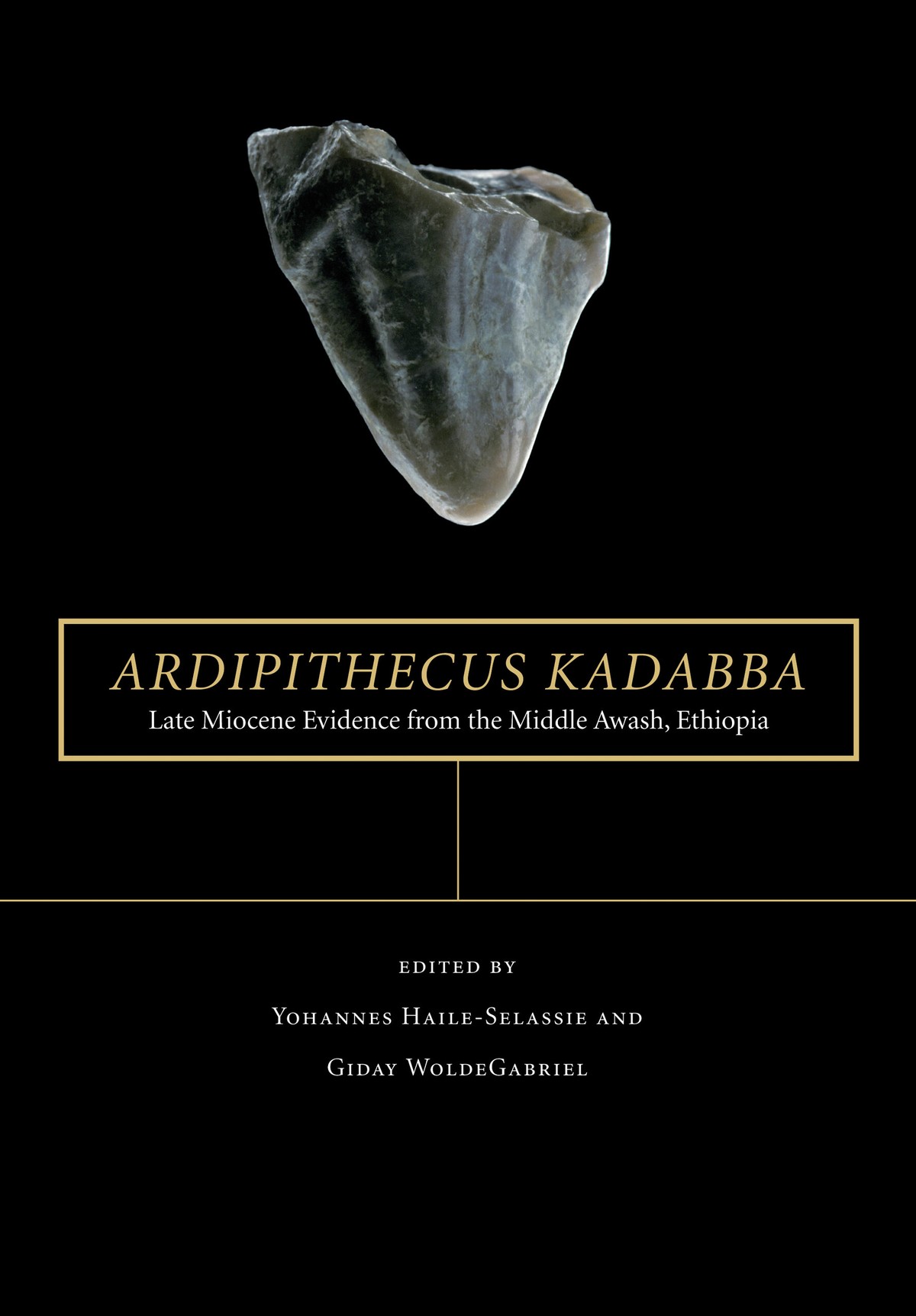 Ardipithecus kadabba by Yohannes Haile-Selassie, Giday WoldeGabriel ...